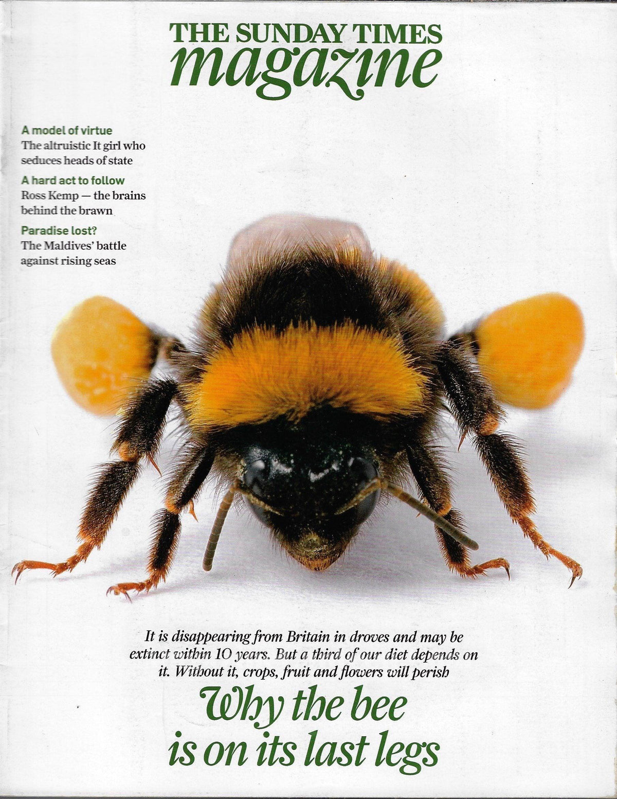 The Sunday Times Magazine - Ross Kemp – magazine canteen