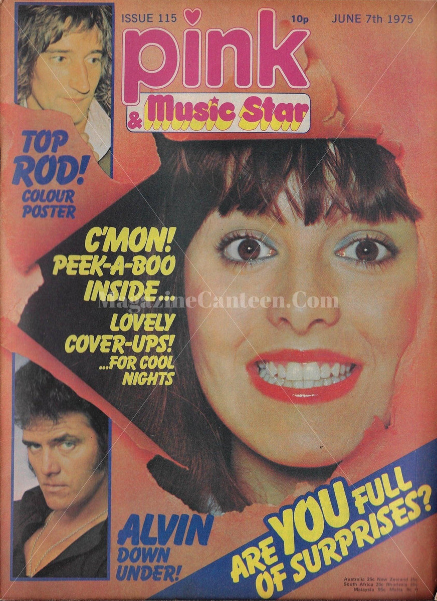 Pink Magazine - Alvin Stardust – magazine canteen