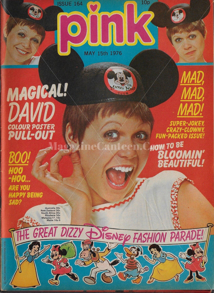 Pink Magazine - David Essex – magazine canteen