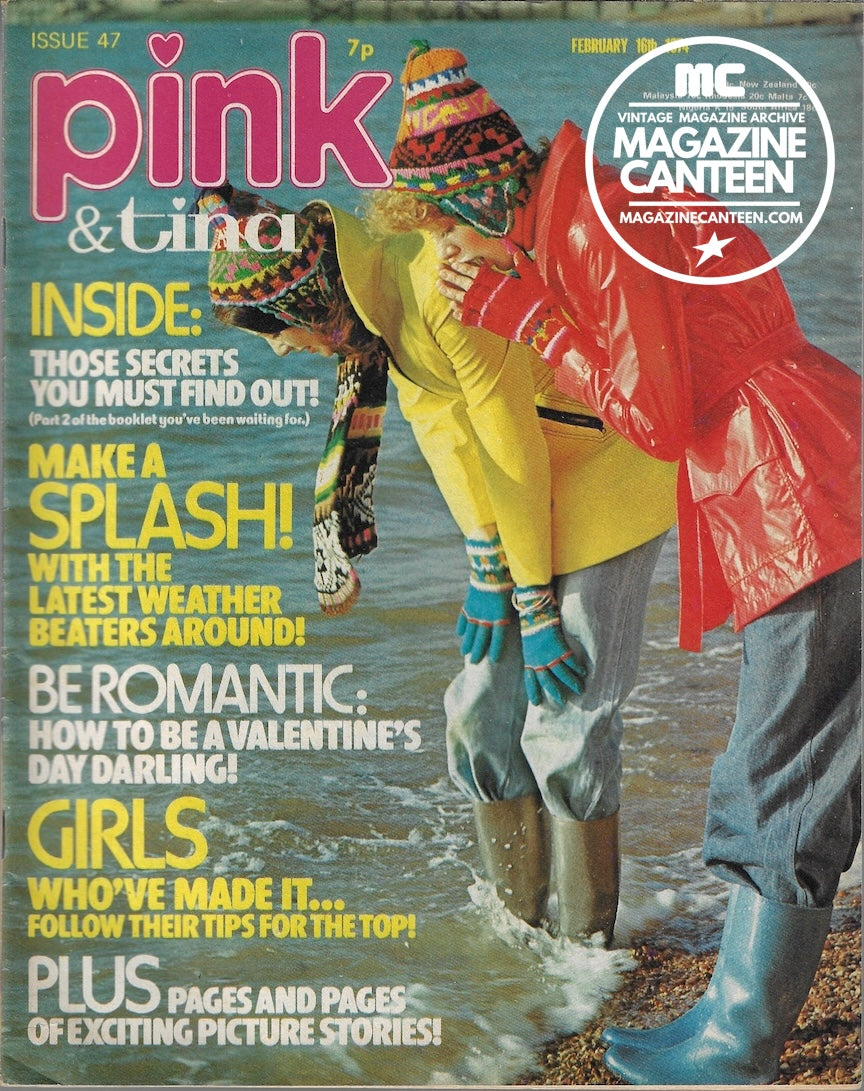 Pink Magazine - THE SWEET Brian Connolly POSTER – magazine canteen