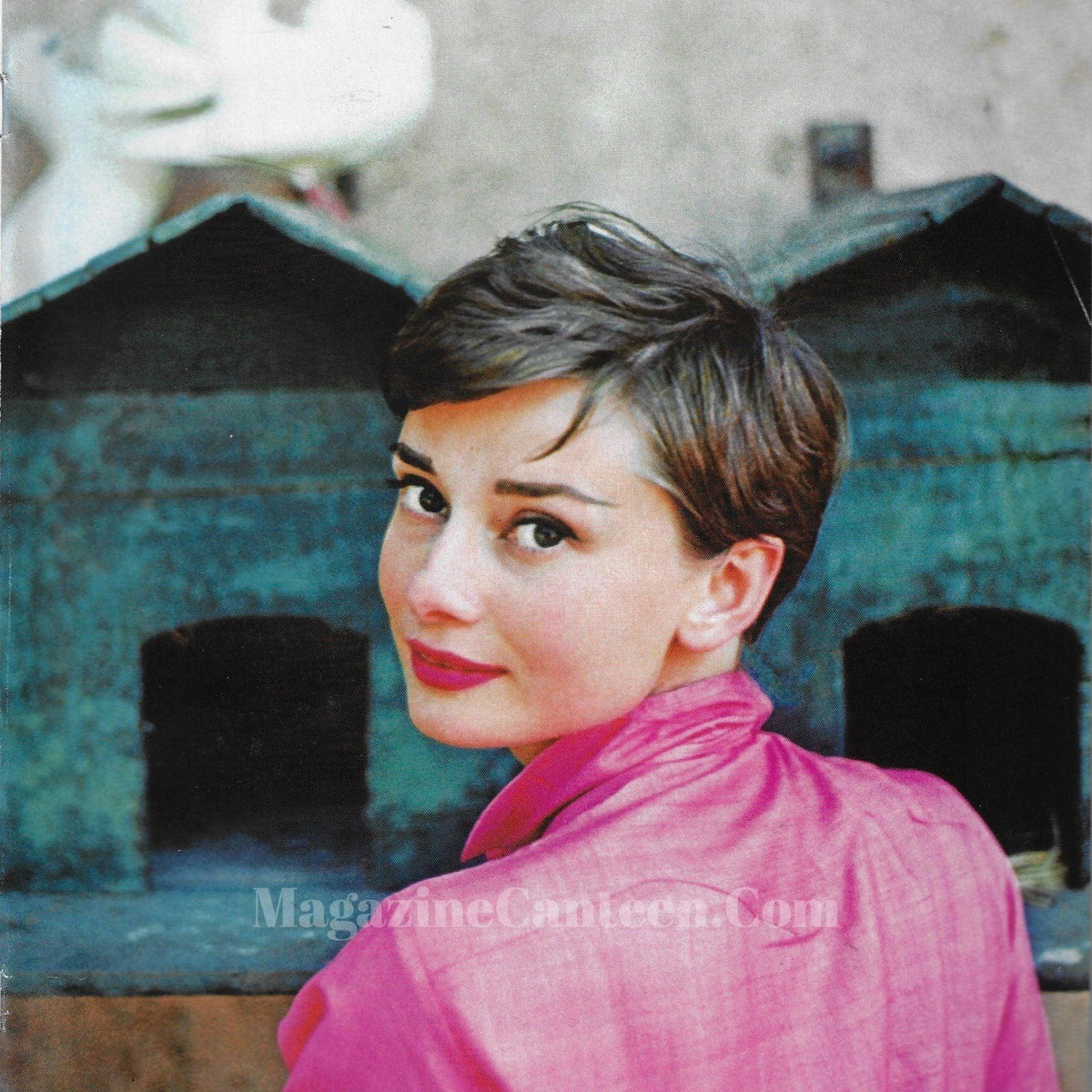 The Sunday Telegraph Magazine - Audrey Hepburn – magazine canteen