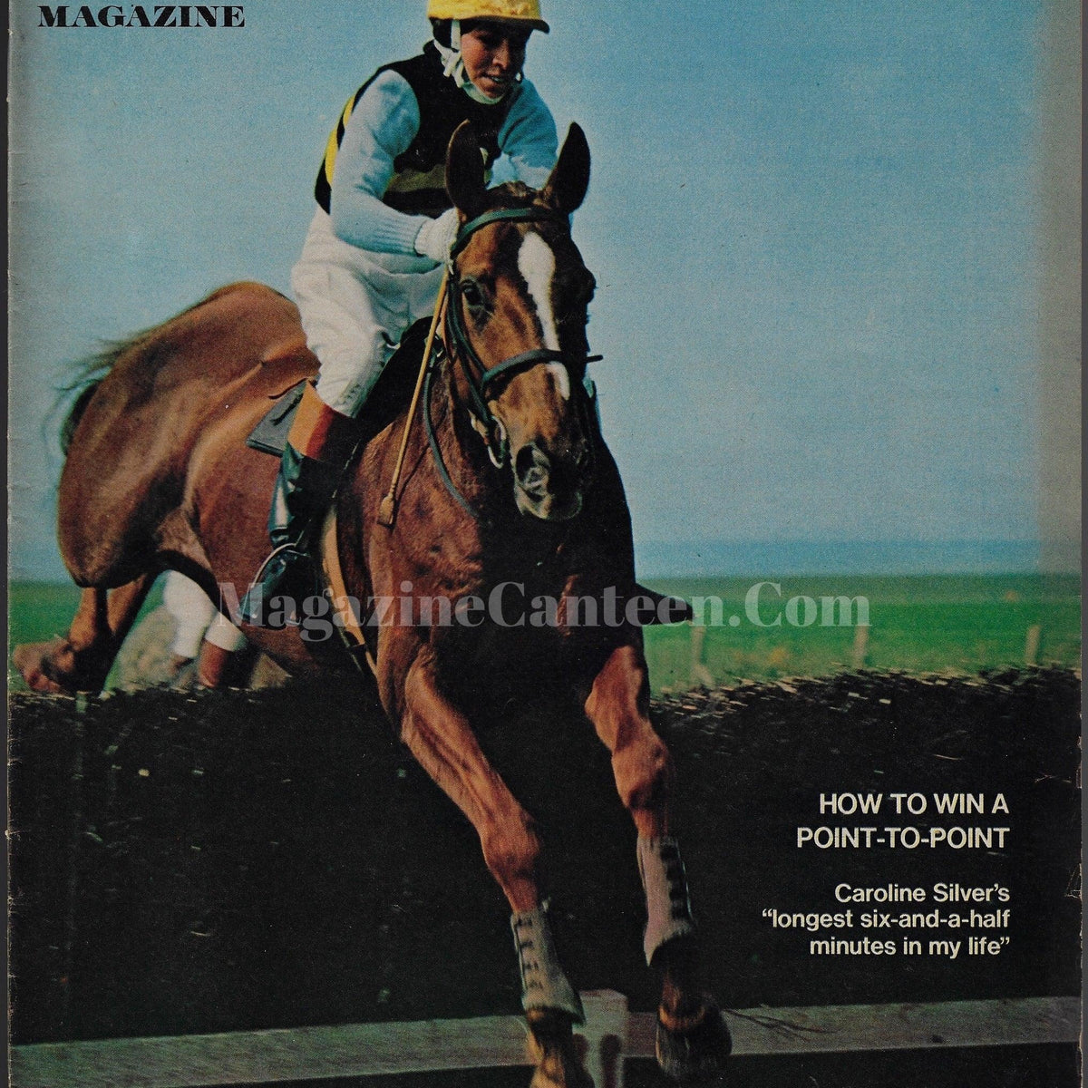 The Telegraph Magazine - Caroline Silver – magazine canteen