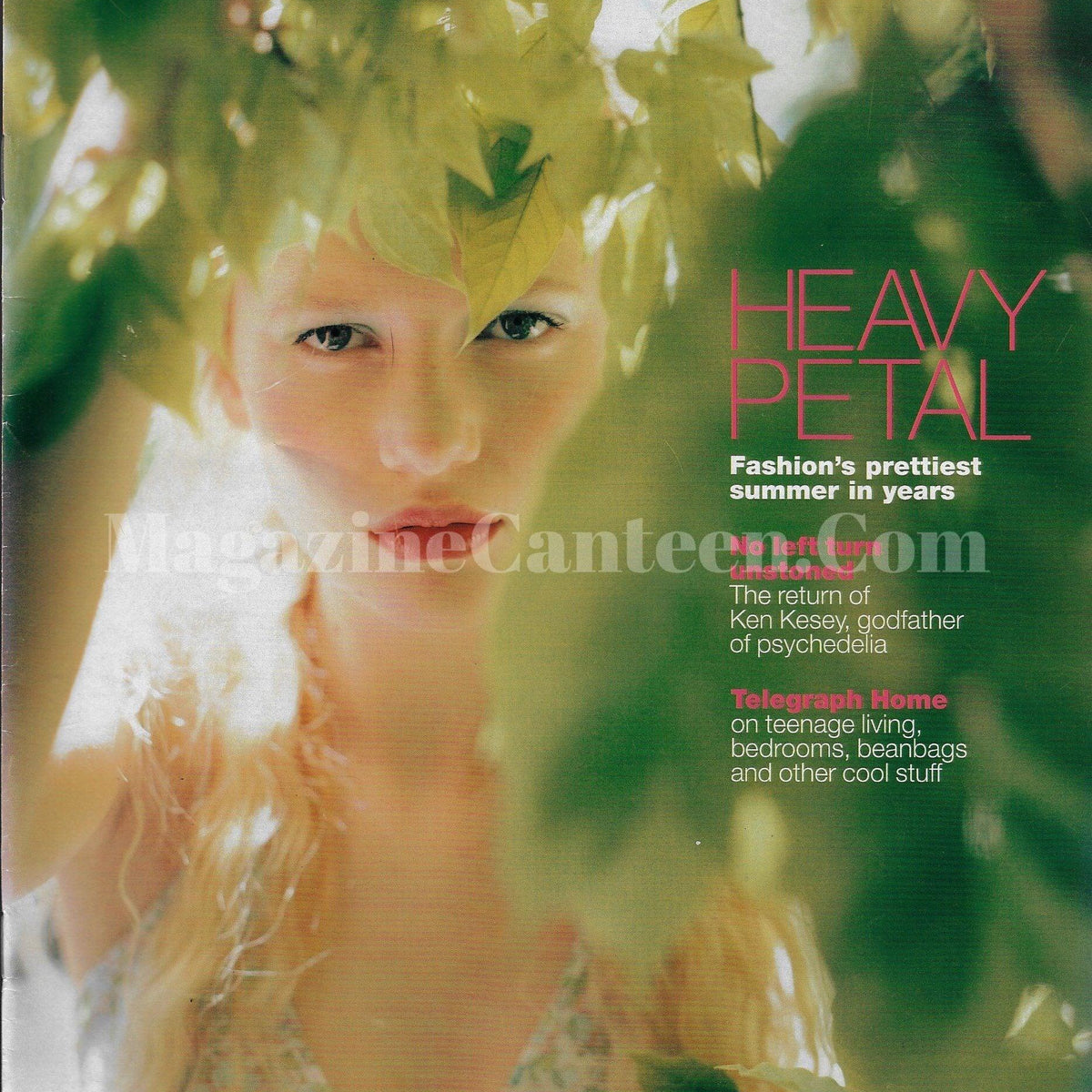 The Telegraph Magazine - Mike Myers Ken Kesey – magazine canteen