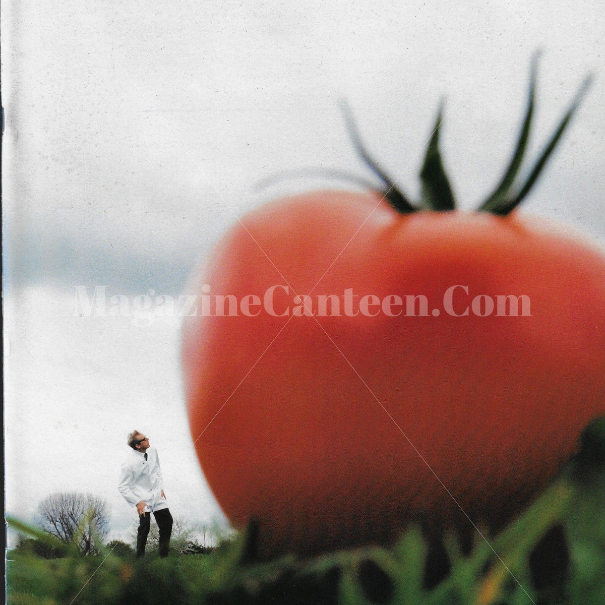 The Sunday Telegraph Magazine - Daniela Nardini – magazine canteen