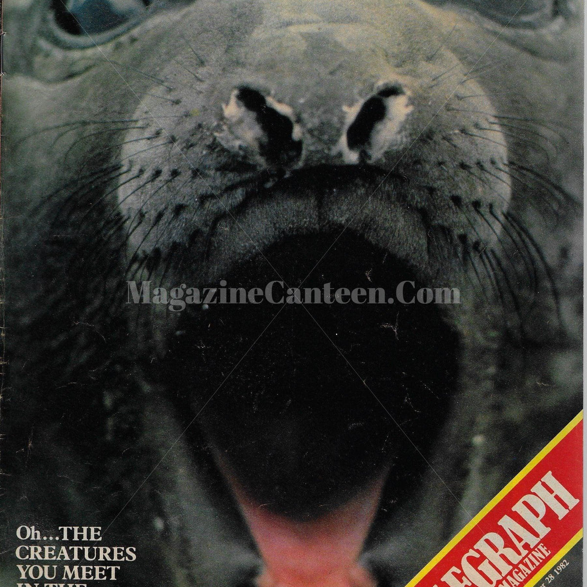 The Telegraph Magazine - Ben Kingsley Peggy Ashcroft – magazine canteen