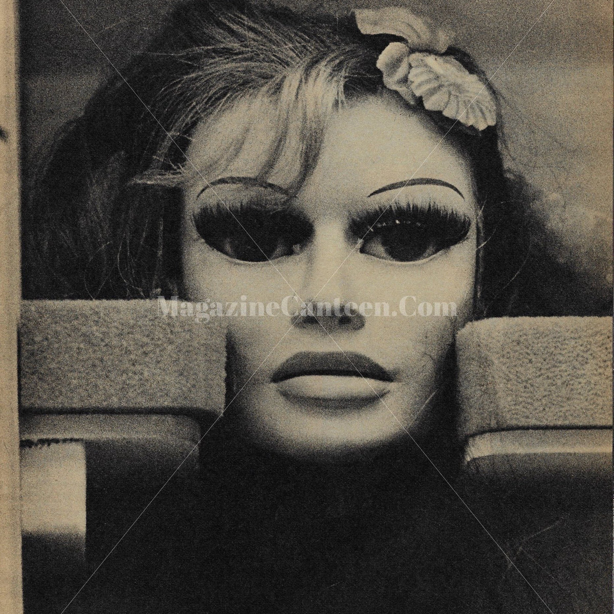 The Observer Magazine - Stingray Puppets Colin Jones BB – magazine canteen