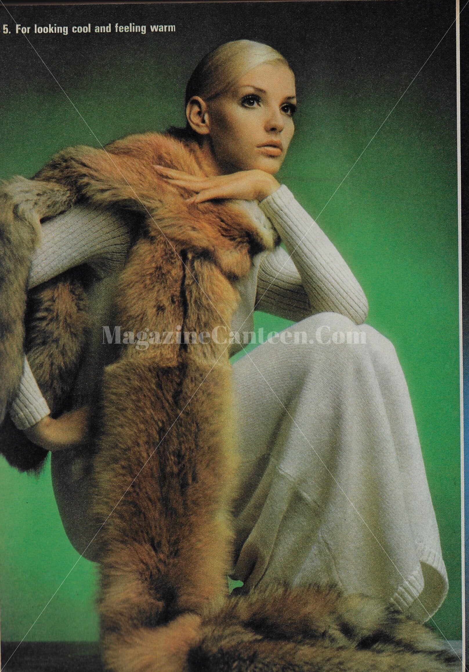 The Observer Magazine - Clive Arrowsmith Long Short Tail – magazine canteen