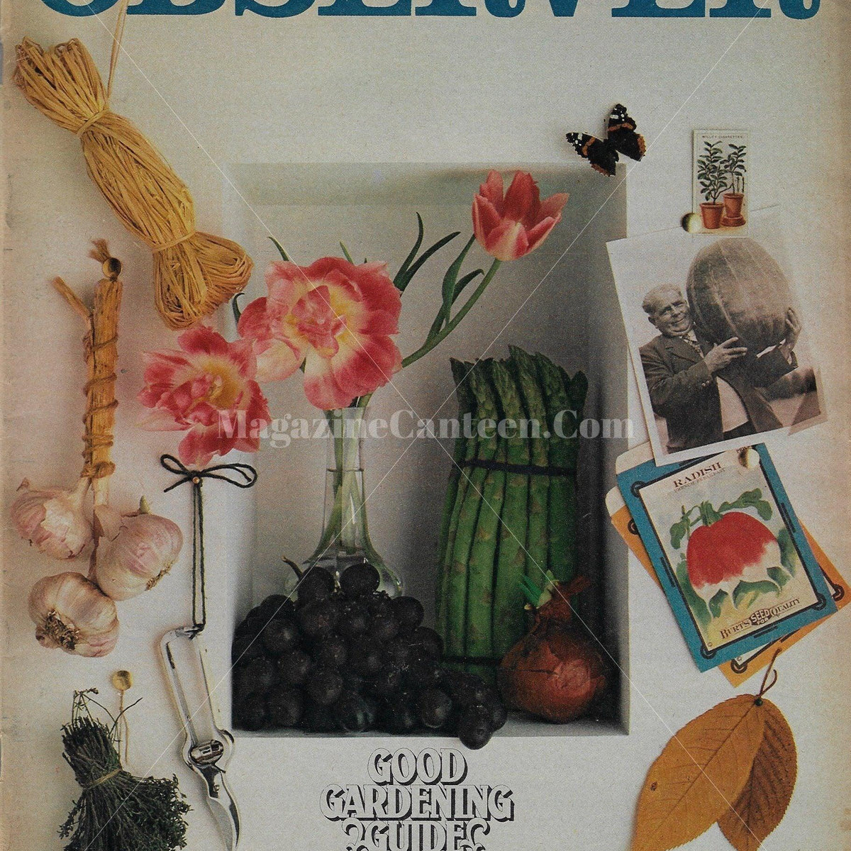 The Observer Magazine - Val Wilmer Lady Tavistock – magazine canteen