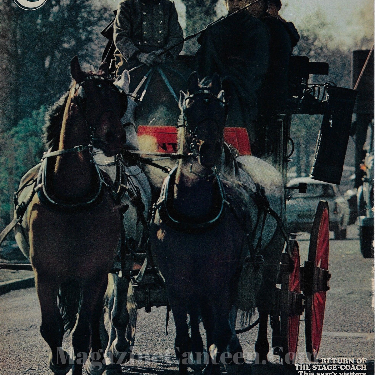 The Telegraph Magazine - Graham Finlayson – magazine canteen