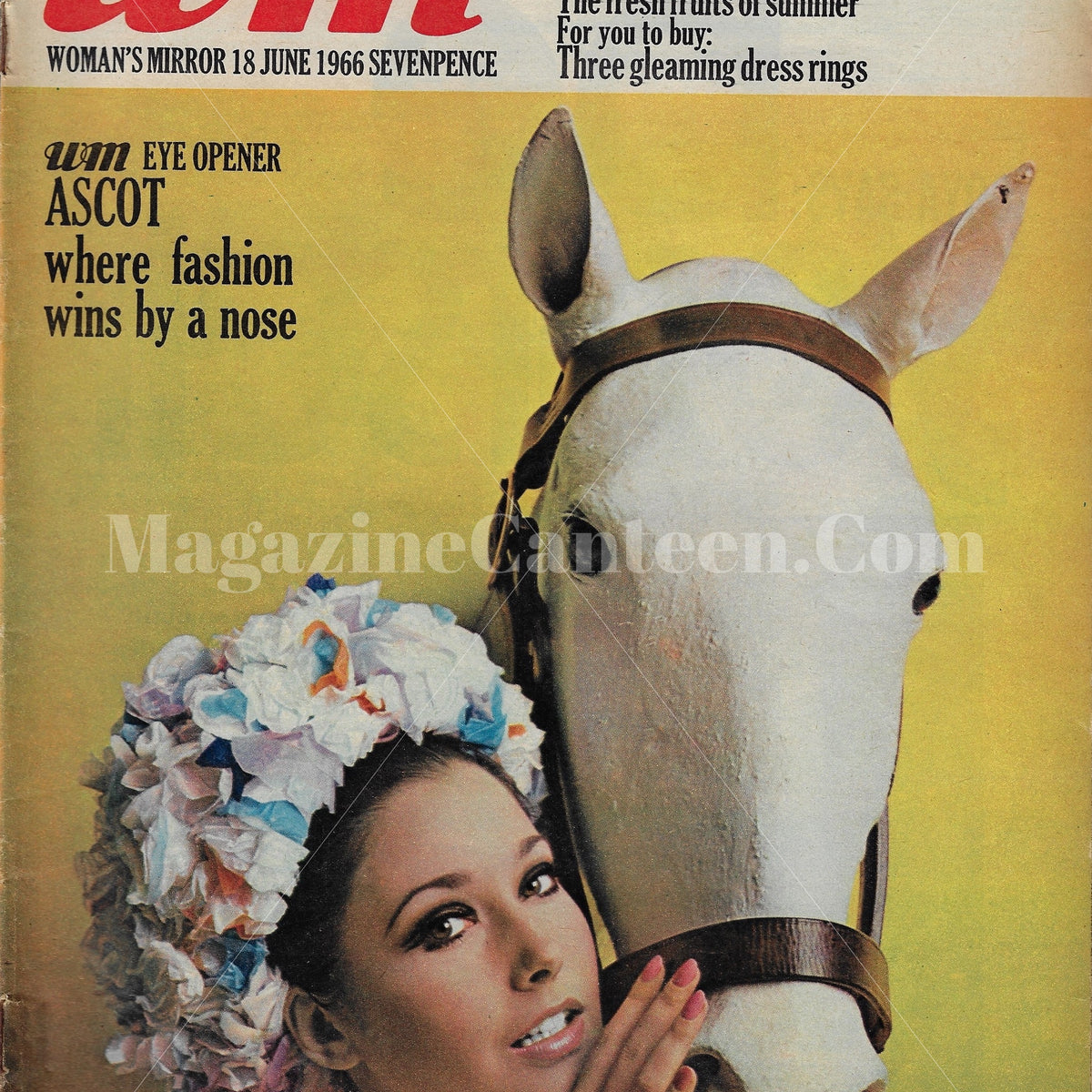 Woman's Mirror Magazine - Donald Silverstein – magazine canteen