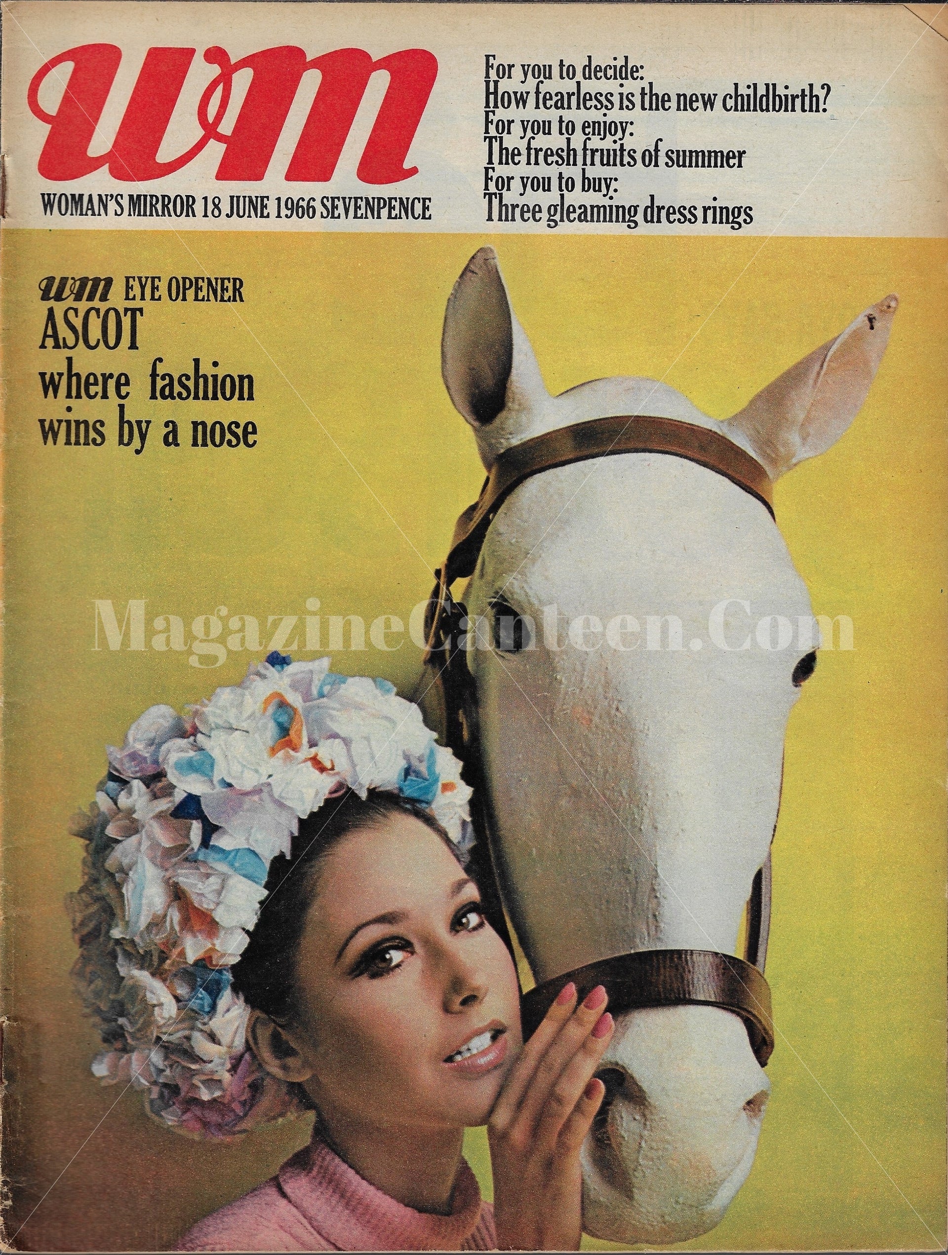 Woman's Mirror Magazine - Donald Silverstein – magazine canteen