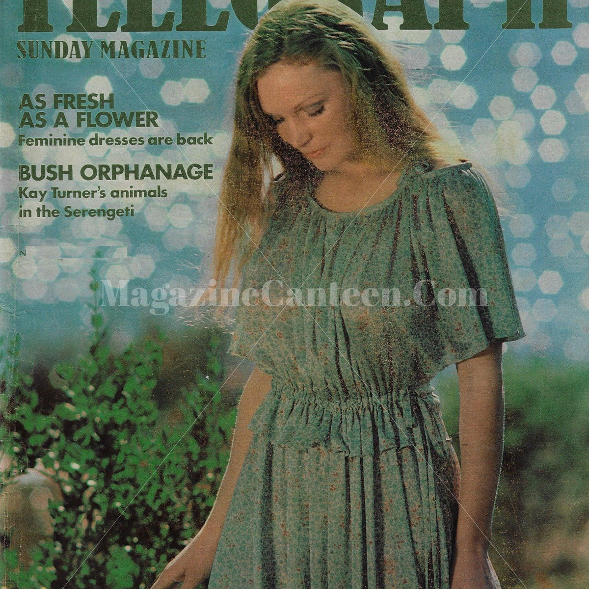 The Telegraph Magazine - Robert Cundy – magazine canteen